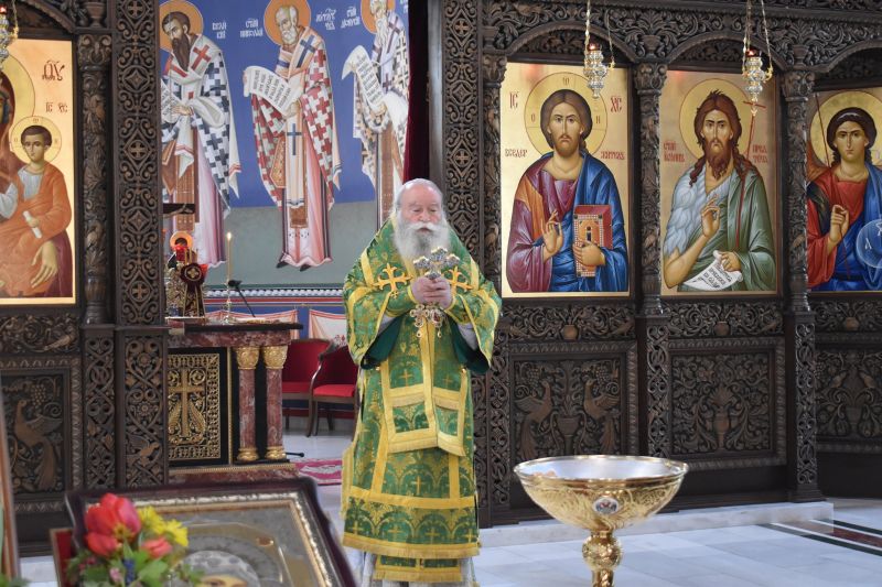 Κυριακή των Βαϊων στο Πατριαρχείο Βουλγαρίας • Adologala.gr ...